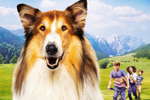 HomePage - Cinema Arthouse